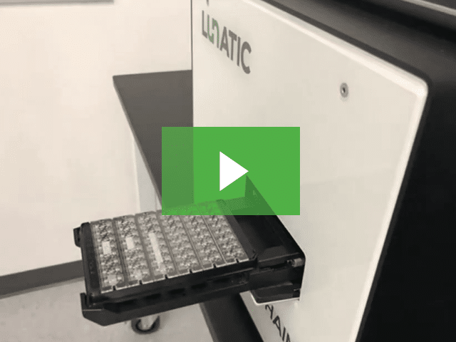 Fast And Accurate Protein Quantification On Lunatic Unchainedlabs
