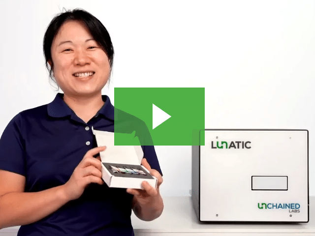 The Fundamentals kit with Stunner & Lunatic - unchainedlabs