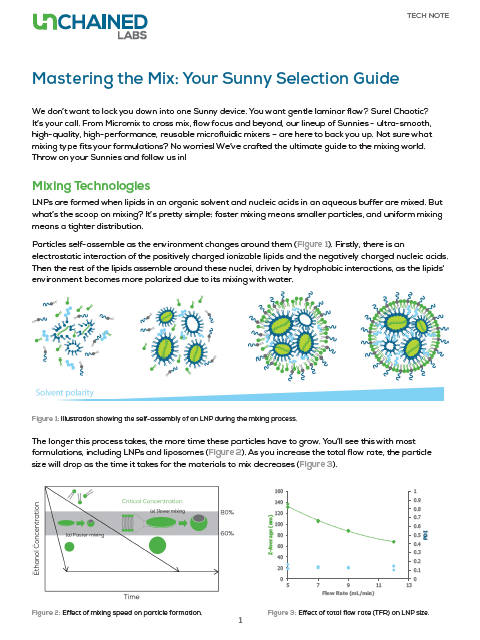 Mastering the Mix: Your Sunny Selection Guide - unchainedlabs